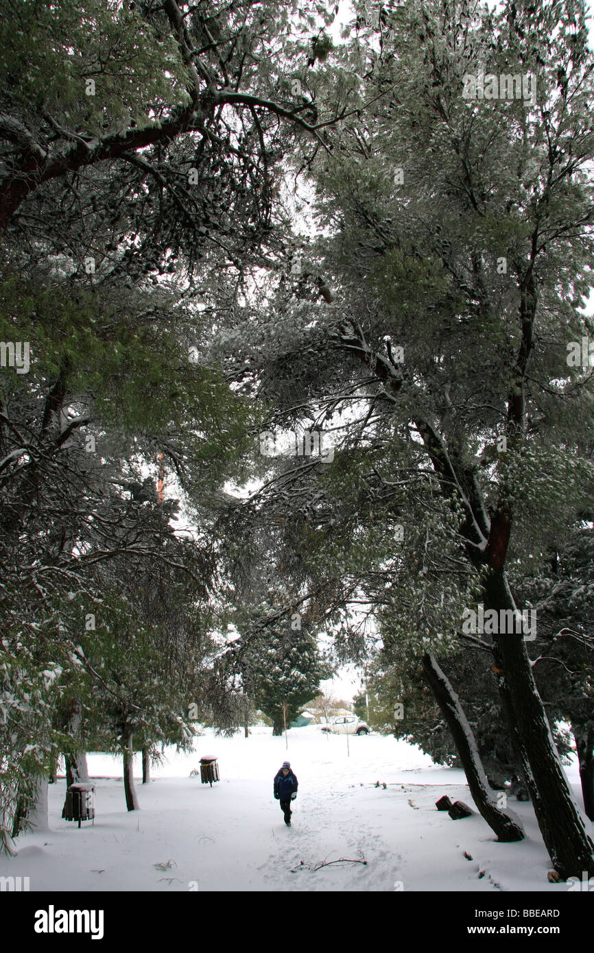 Judea snow in Gush Etzion Stock Photo - Alamy
