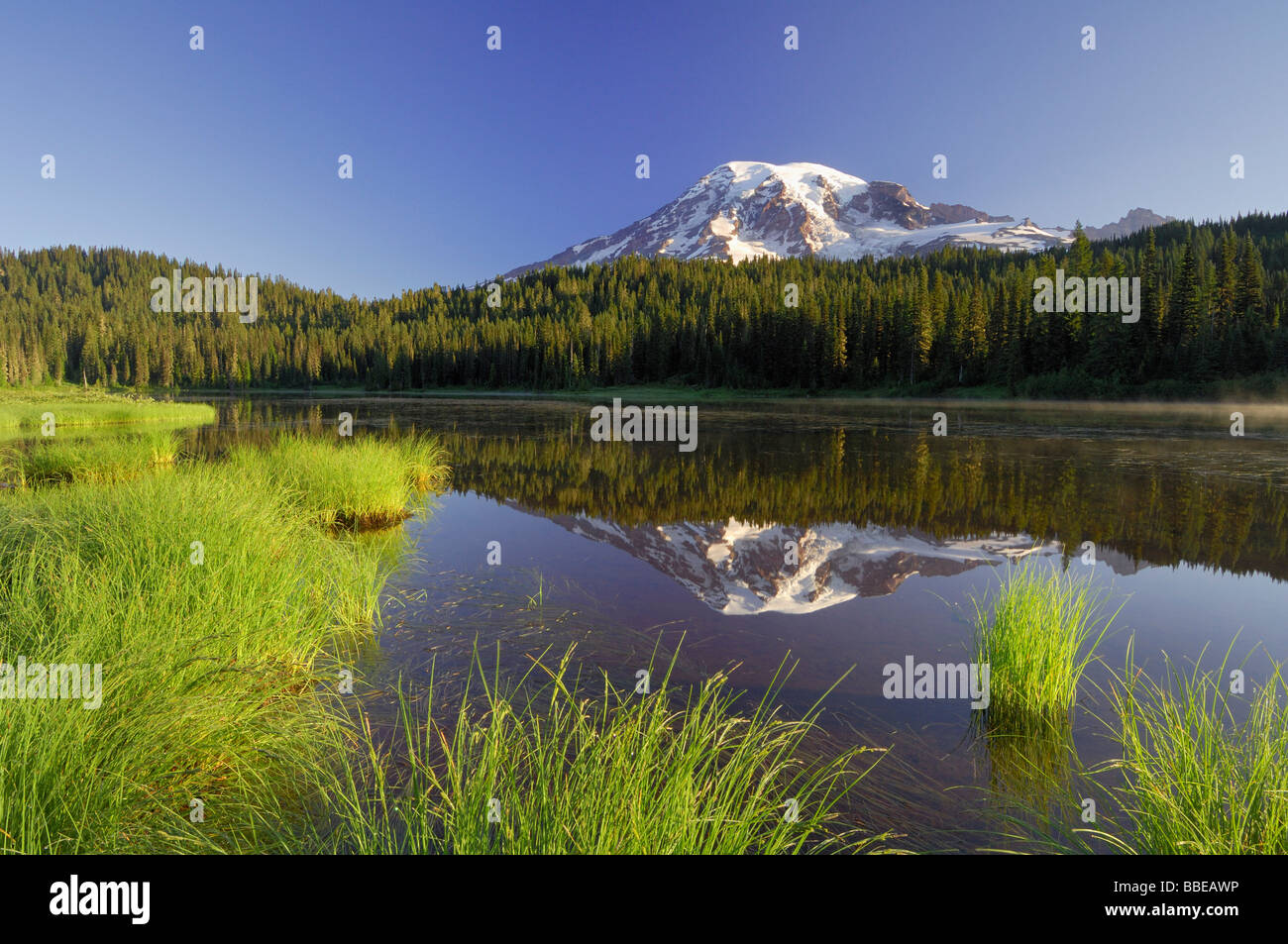 Mount Rainier, Reflection Lake, Mount Rainier National Park, Pierce ...