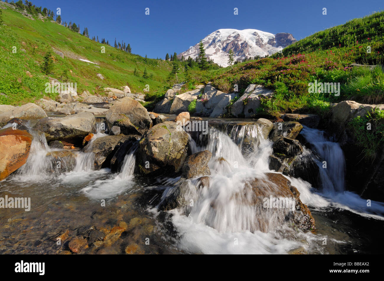 Mount Rainier and Stream, Mount Rainier National Park, Pierce County ...