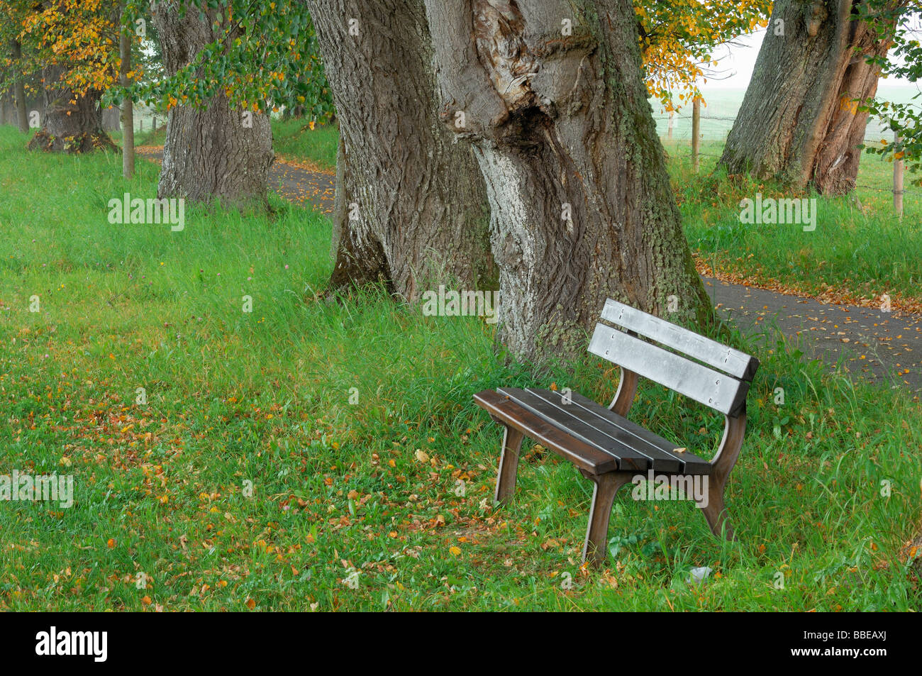 Bench, Bavaria, Germany Stock Photo - Alamy