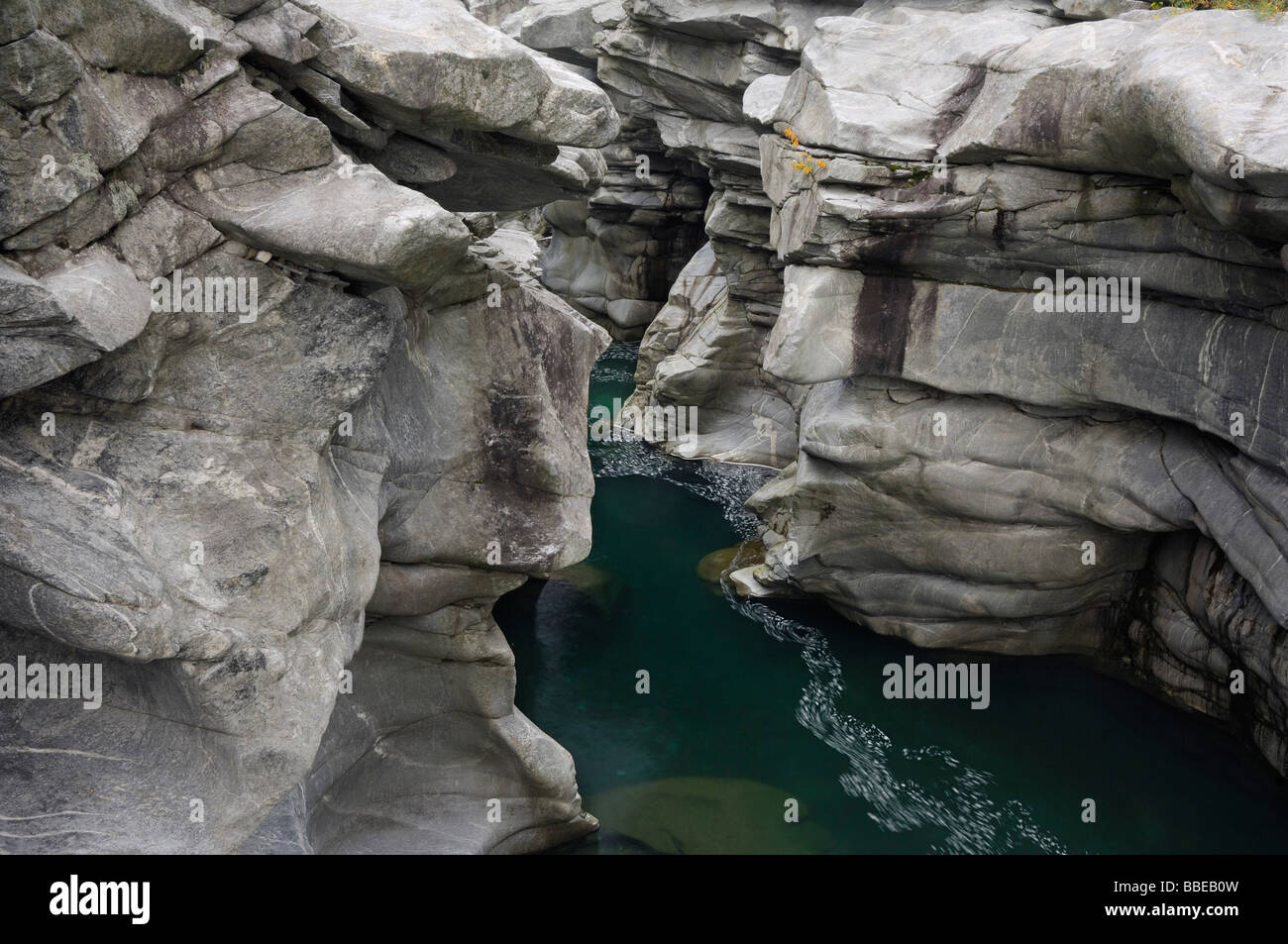Maggia River, Valle Maggia, Ticino Canton, Switzerland Stock Photo - Alamy