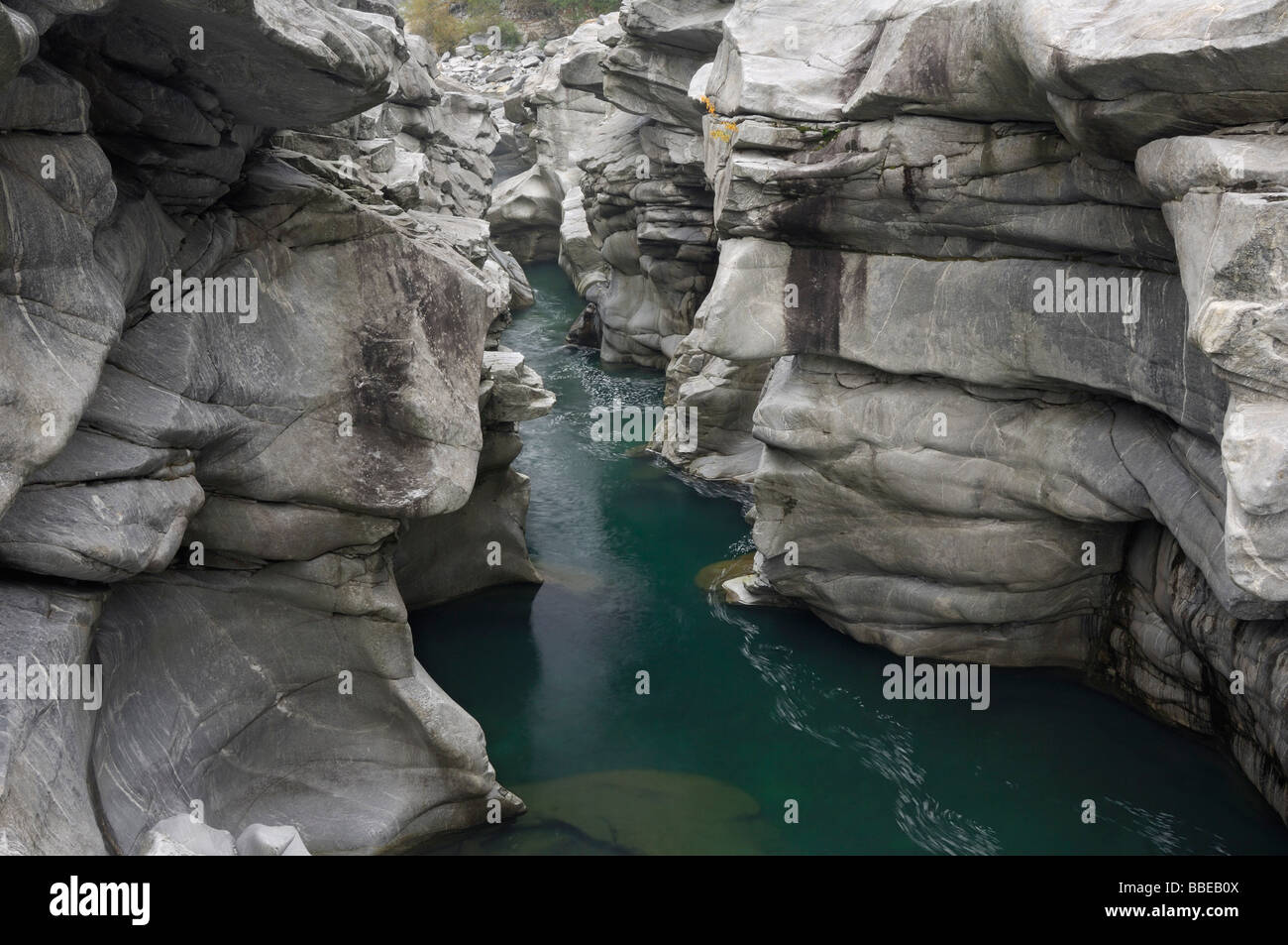 Maggia River, Valle Maggia, Ticino Canton, Switzerland Stock Photo - Alamy