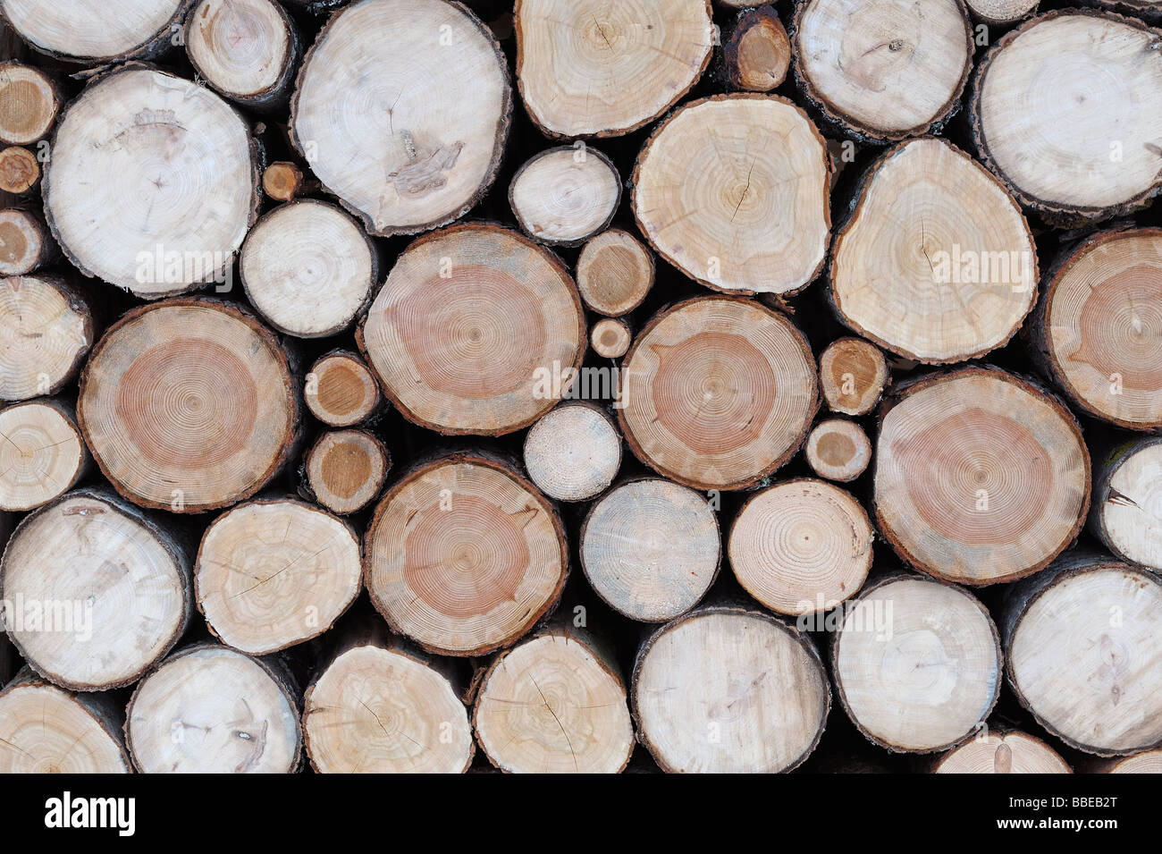 Stack of Firewood Stock Photo - Alamy