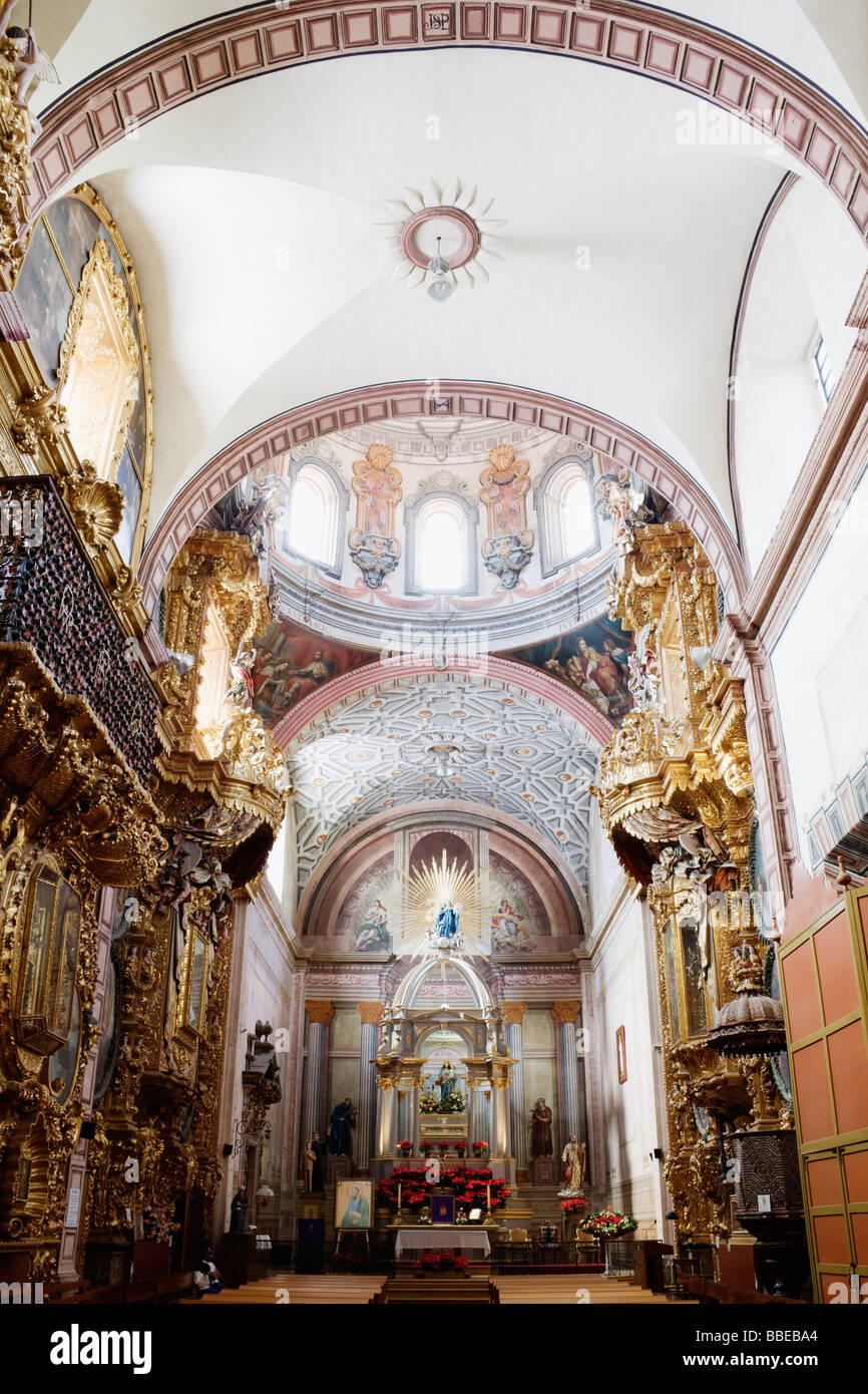 Rosa de mexico hi-res stock photography and images - Alamy