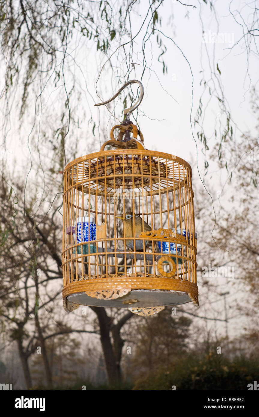 Hanging Bird Cage High Resolution Stock Photography and Images - Alamy