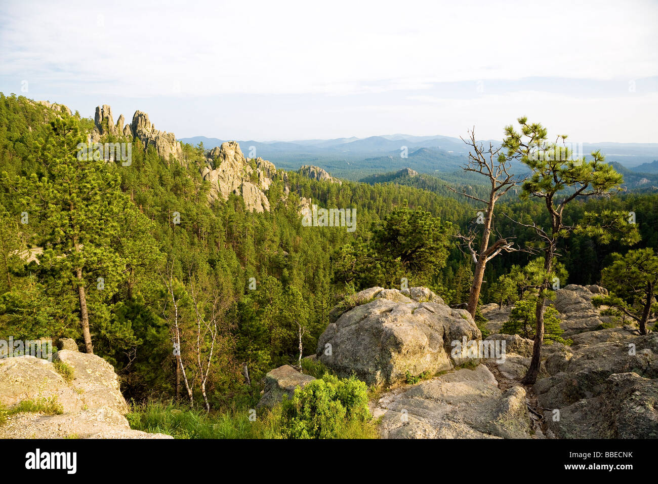 Cathedral Spires, Black Hills, Custer State Park, South Dakota, USA ...