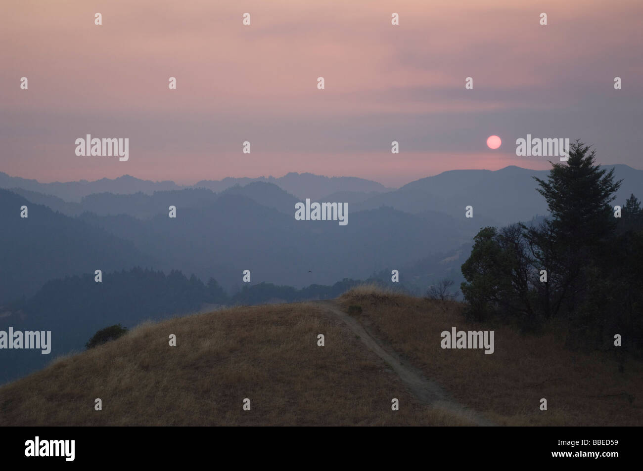 Sun path rising sunset hi-res stock photography and images - Alamy