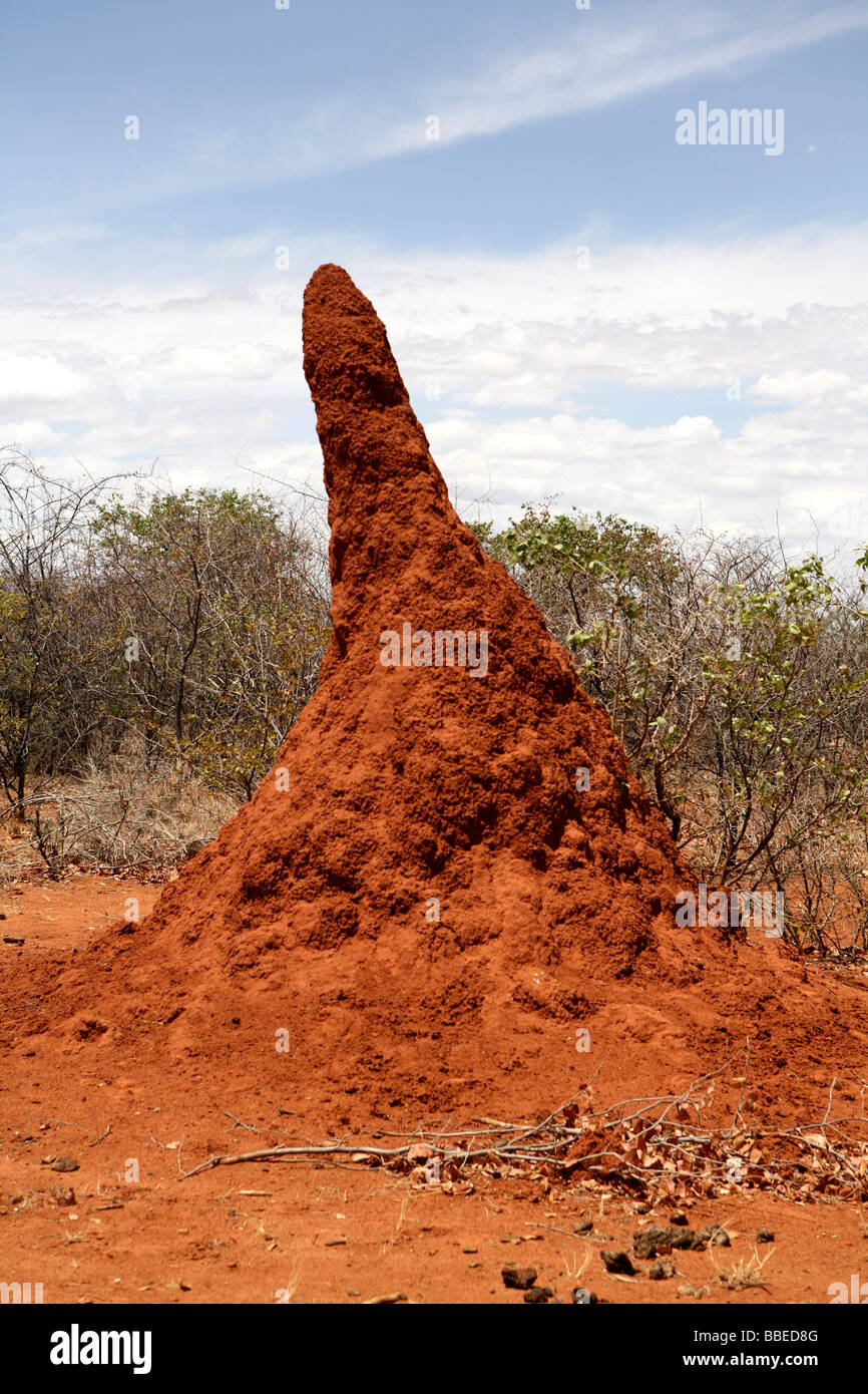 Termite Mound, Omaruru, Erongo, Namibia Stock Photo - Alamy
