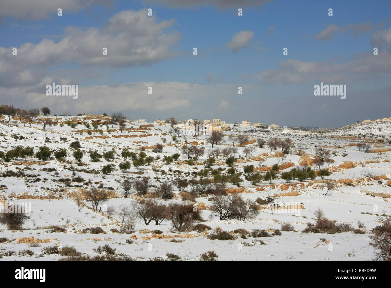 Judea snow in Gush Etzion Stock Photo - Alamy