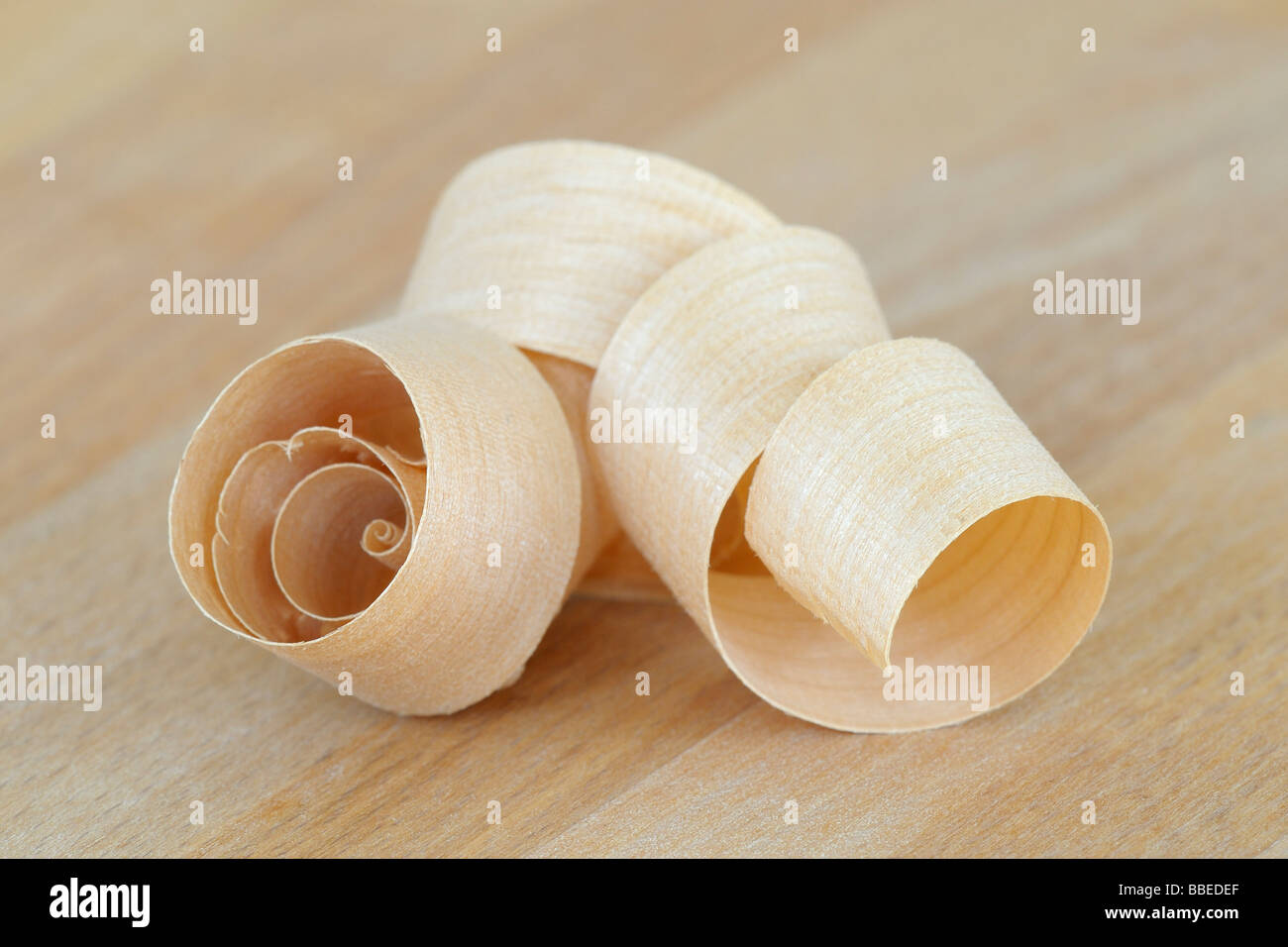 Close-up of Wood Shaving Stock Photo - Alamy