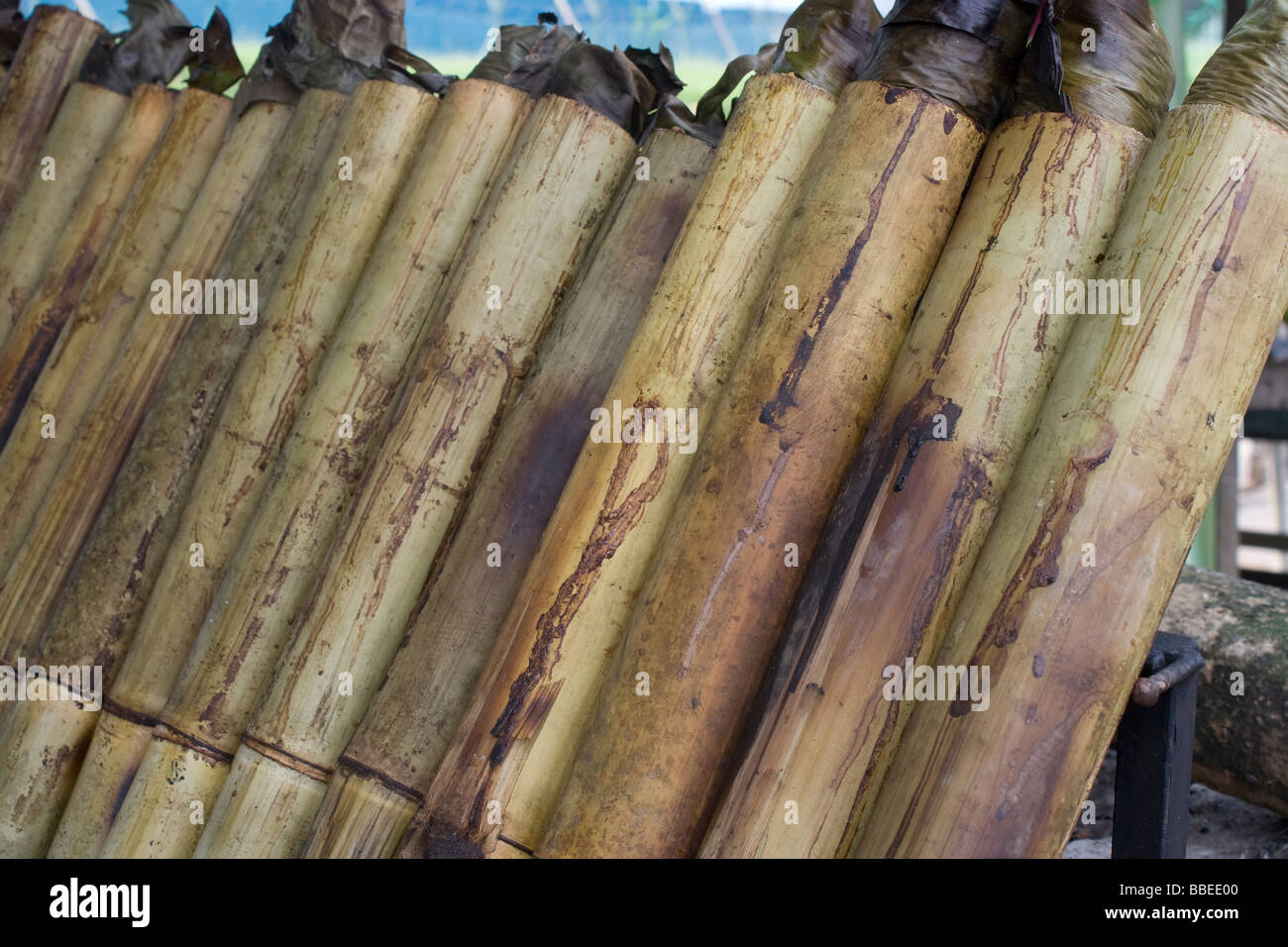 Preparing lemang, the Malaysian hawker delicacy of sticky rice baked in ...