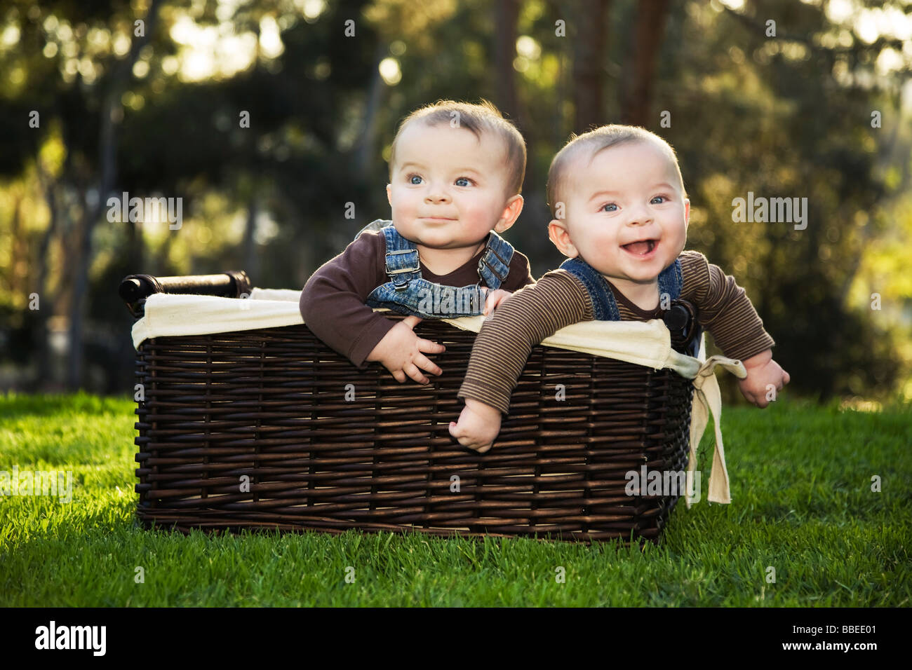 Twin Boys in Basket Stock Photo - Alamy
