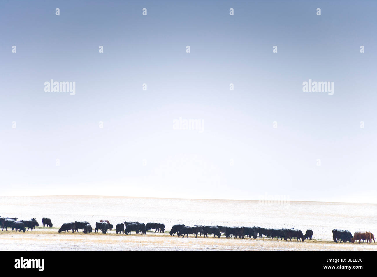 Agrarian park hi-res stock photography and images - Alamy