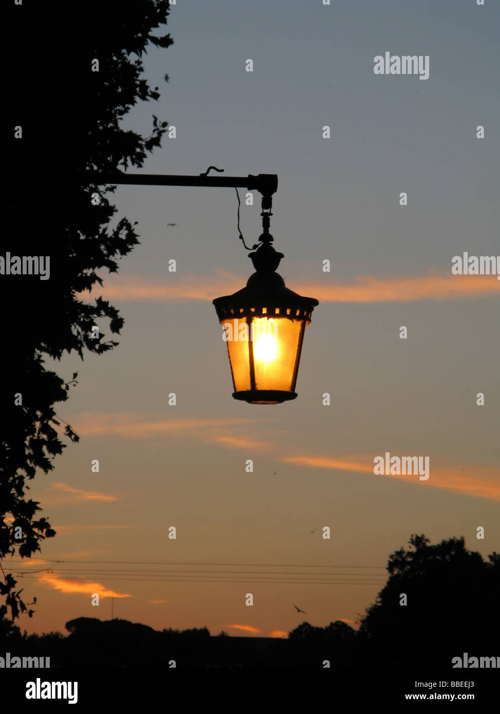one street lamp post pole at night with tree Stock Photo - Alamy
