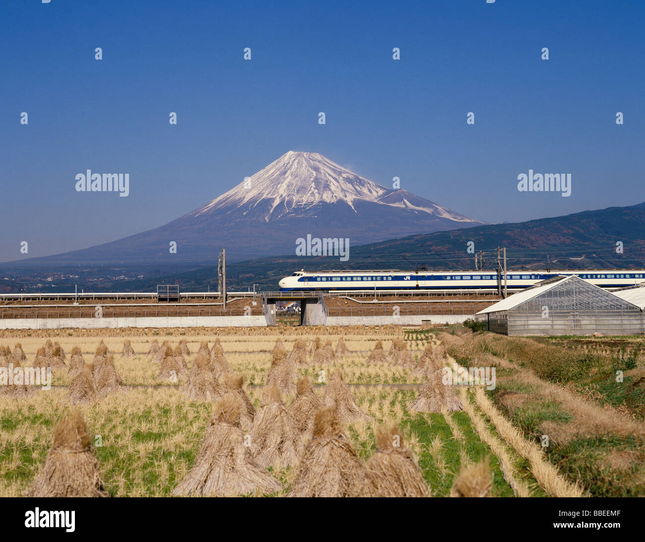 JAPAN Honshu Mount Fuji Shinkansen Bullet Train passing through harvested rice fields below the ...