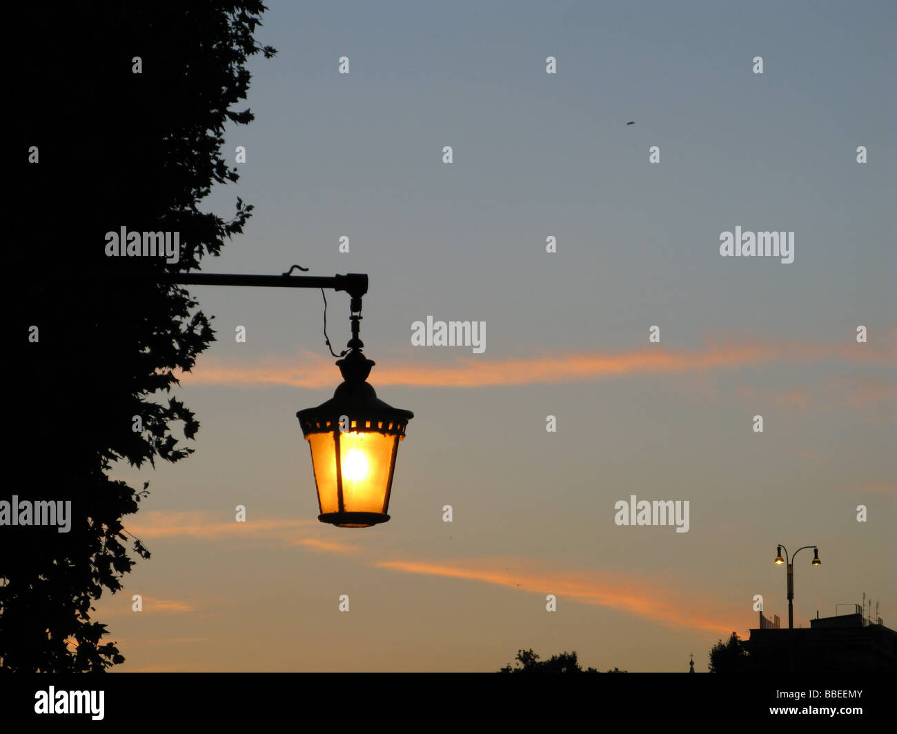 one street lamp post pole at night with tree Stock Photo - Alamy
