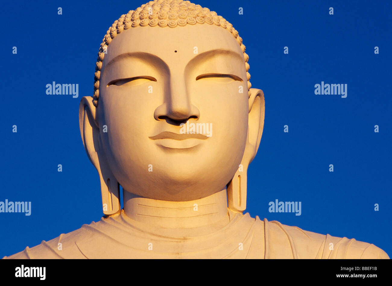 Buddha in monastery. Detail of head. Asia Asian Llankai Religion Sri ...