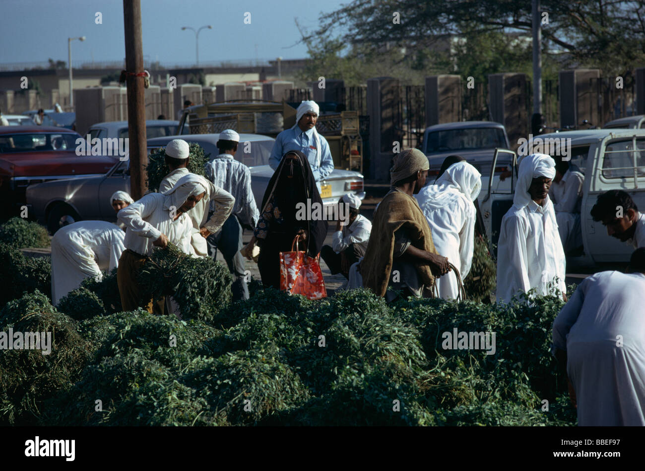 QATAR Middle East Gulf State Doha Vegetable Market Leaf vegetables for ...
