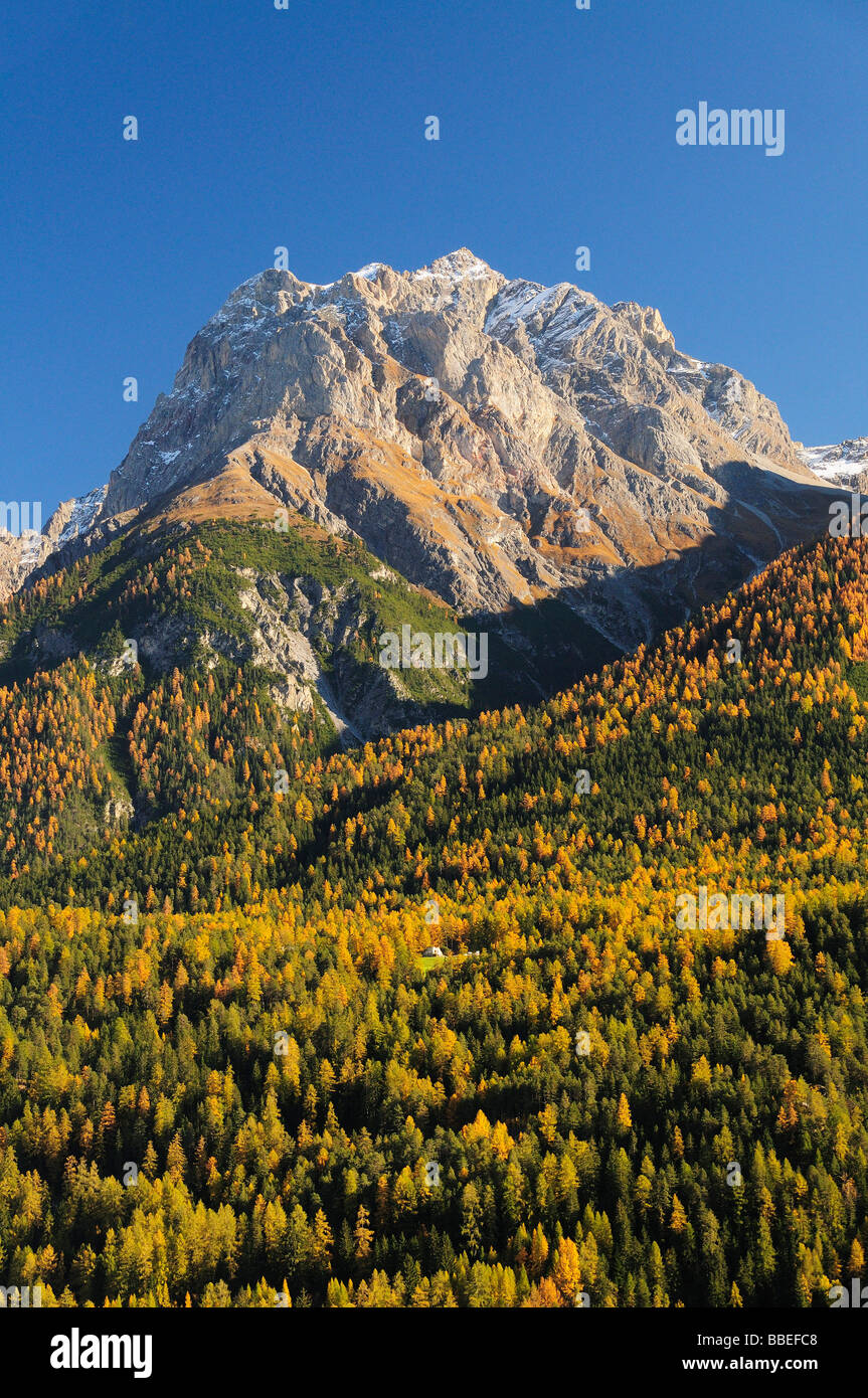 Forest and Mountains, Piz Lischana, Scuol, Switzerland Stock Photo - Alamy