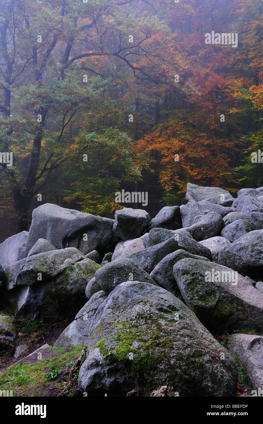 Stone Run in Forest, Reichenbach, Odenwald, Hesse, Germany Stock Photo ...