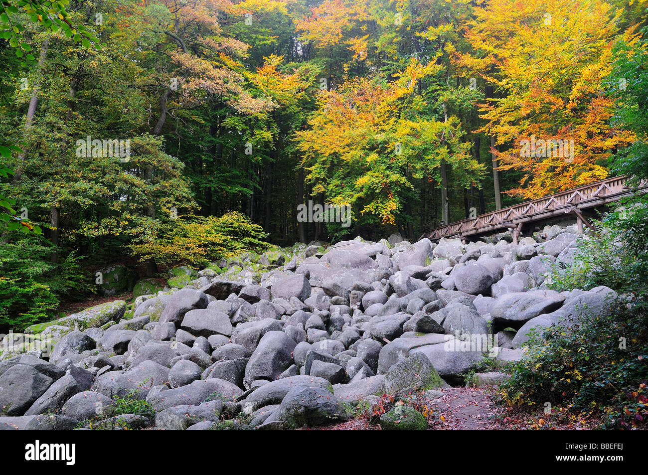 Stone Run in Forest, Reichenbach, Odenwald, Hesse, Germany Stock Photo ...