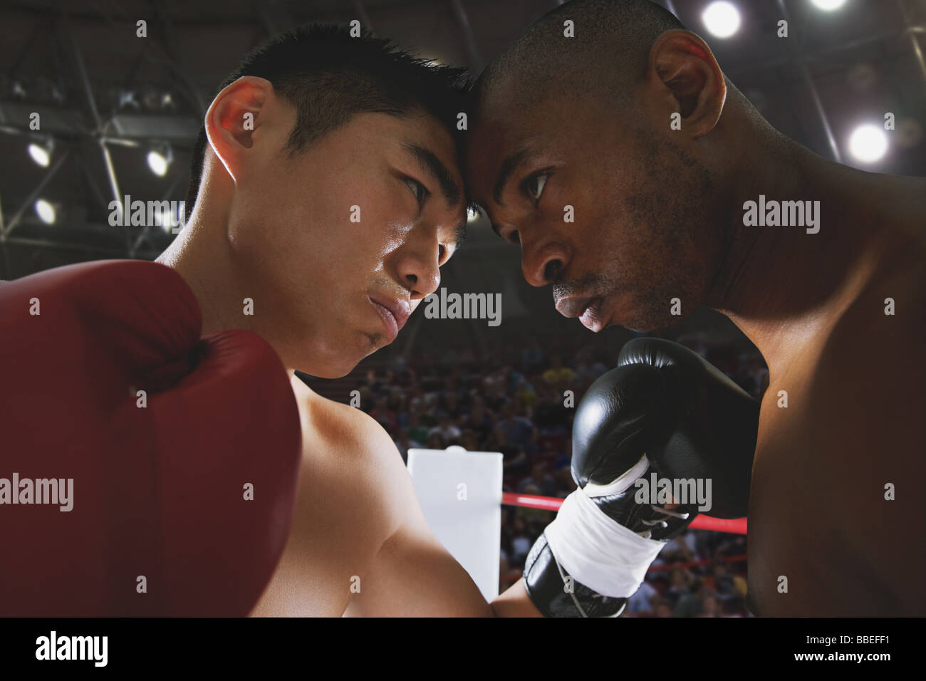 Two boxers sparring Stock Photo - Alamy