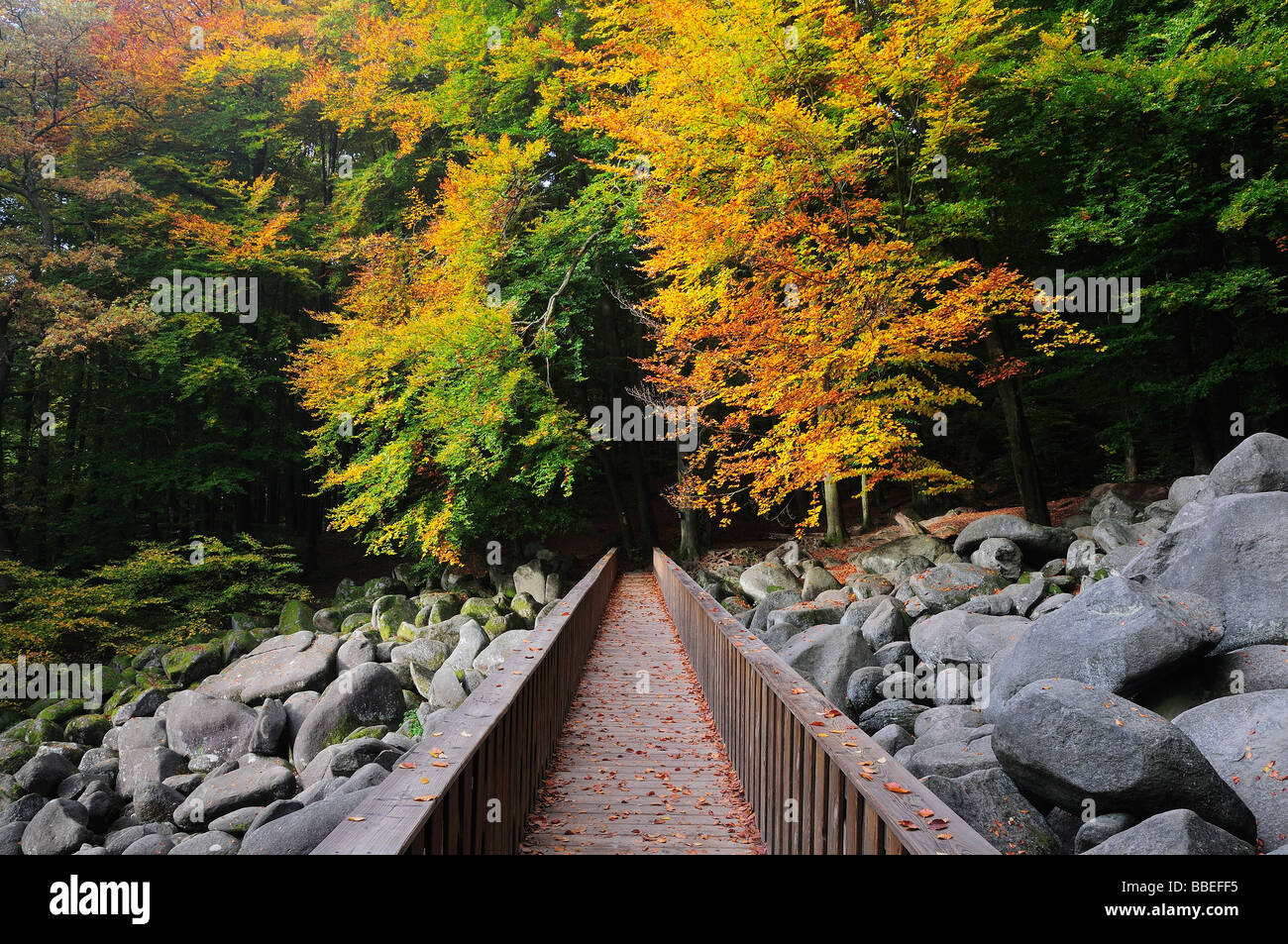 Boardwalk through Stone Run in Forest, Reichenbach, Odenwald, Hesse ...