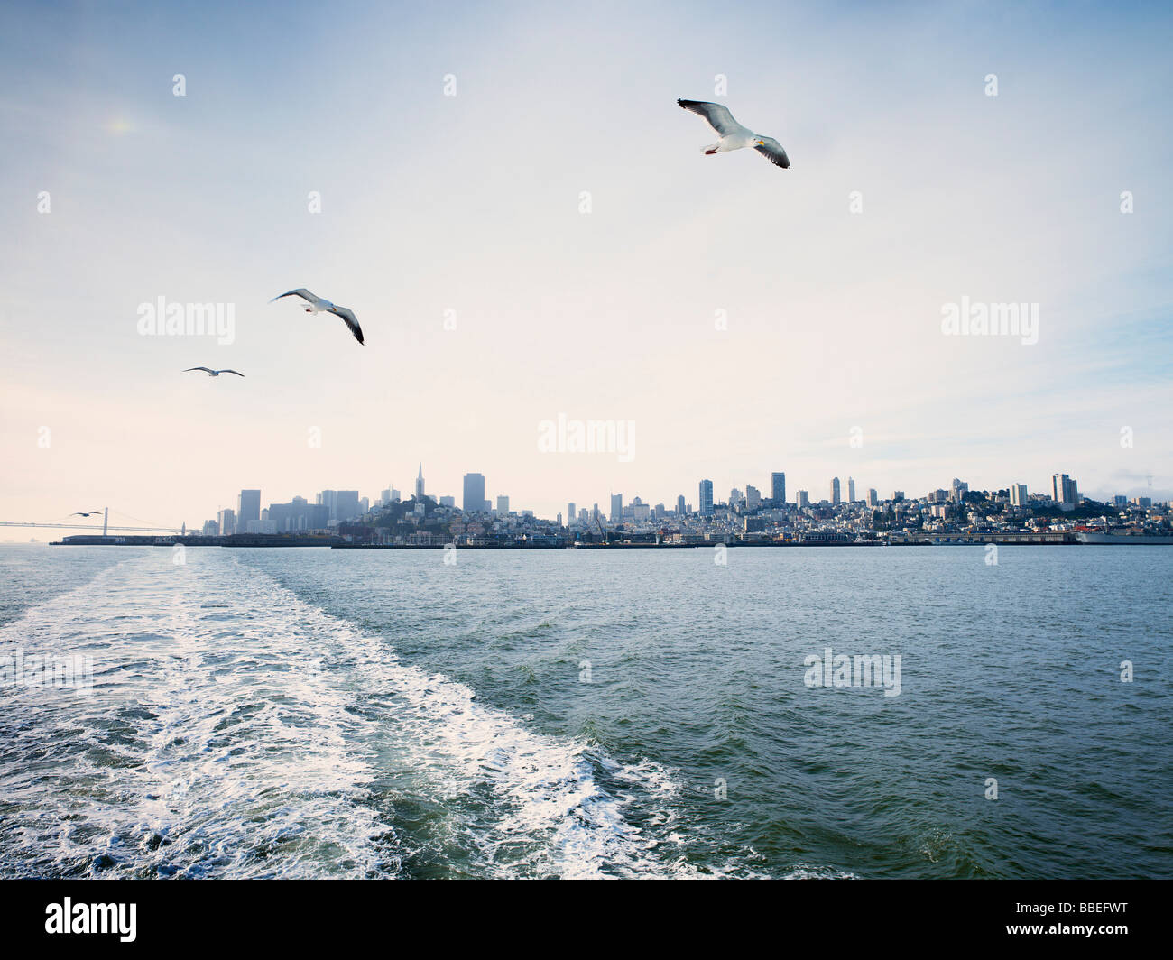 Overview of San Francisco, California, USA Stock Photo - Alamy