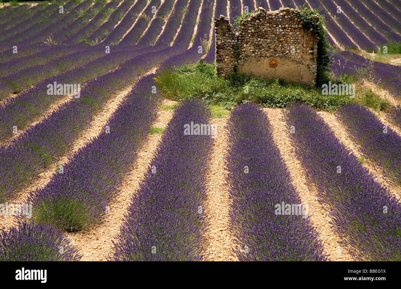House ruin france hi-res stock photography and images - Alamy