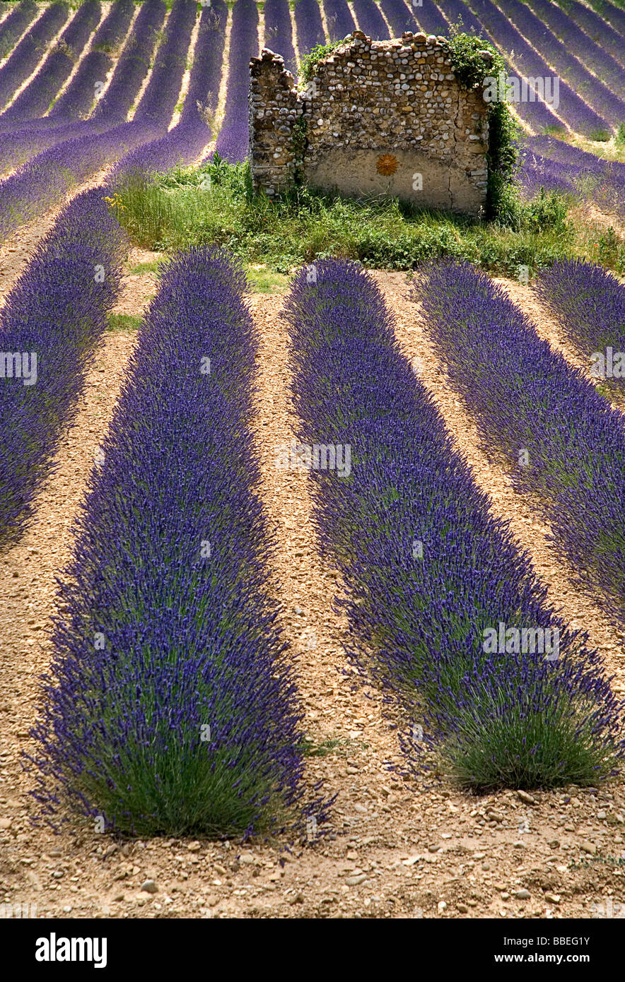 House ruin france hi-res stock photography and images - Alamy