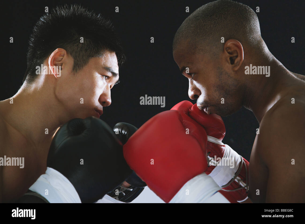 Boxers face to face hi-res stock photography and images - Alamy