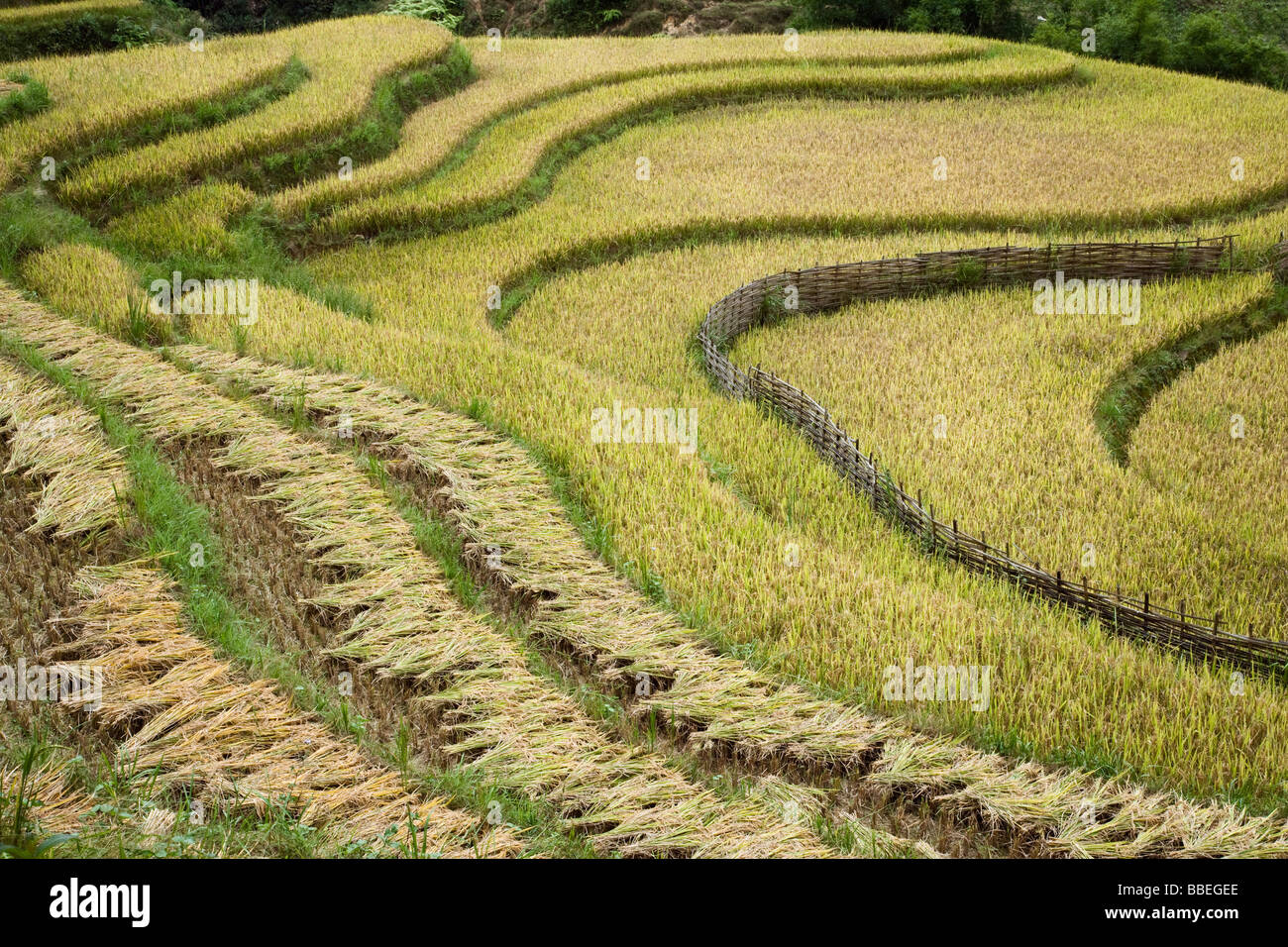 Cai Be Vietnam High Resolution Stock Photography and Images - Alamy