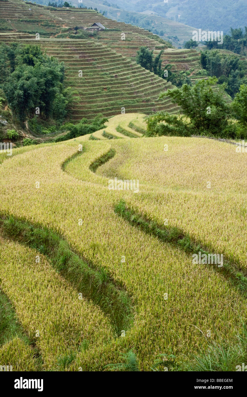 Cai Be Vietnam High Resolution Stock Photography and Images - Alamy