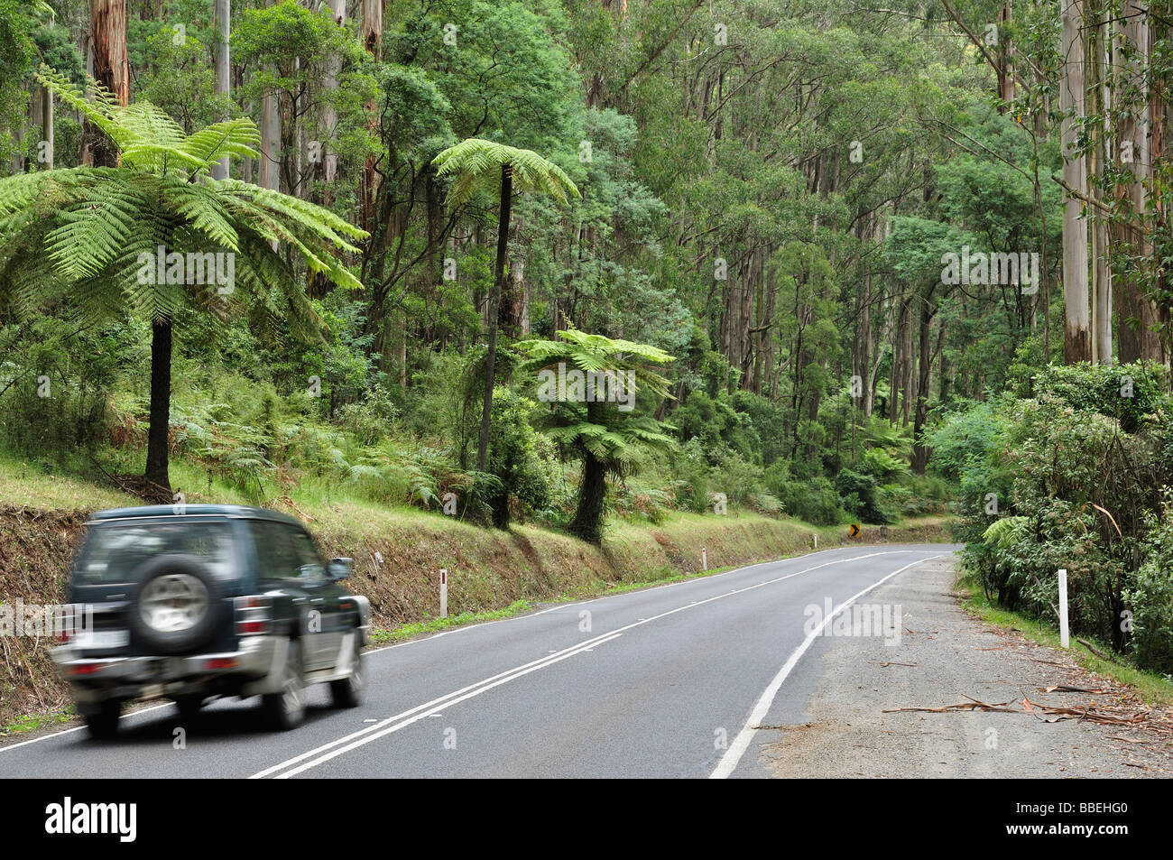 Dandenong Ranges High Resolution Stock Photography and Images - Alamy