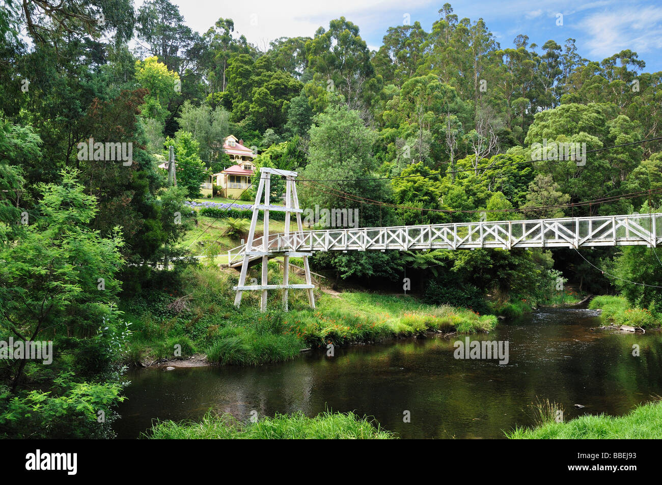 Suspension Bridge, Yarra River, Warburton, Victoria, Australia Stock ...