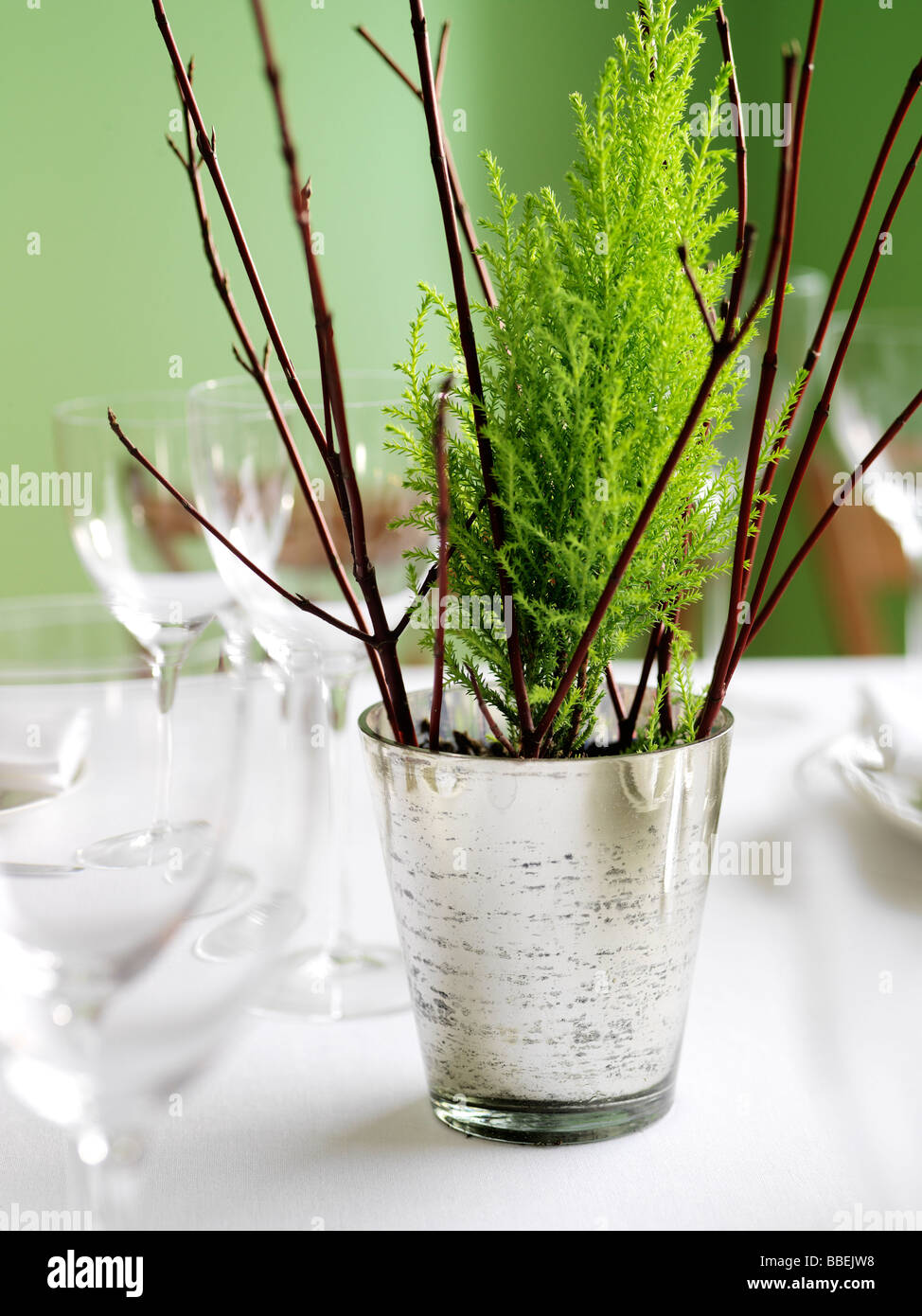 Miniature Christmas Tree as Table Centerpiece Stock Photo - Alamy
