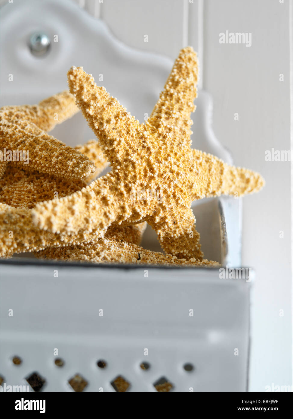 Decorative starfish hi-res stock photography and images - Alamy