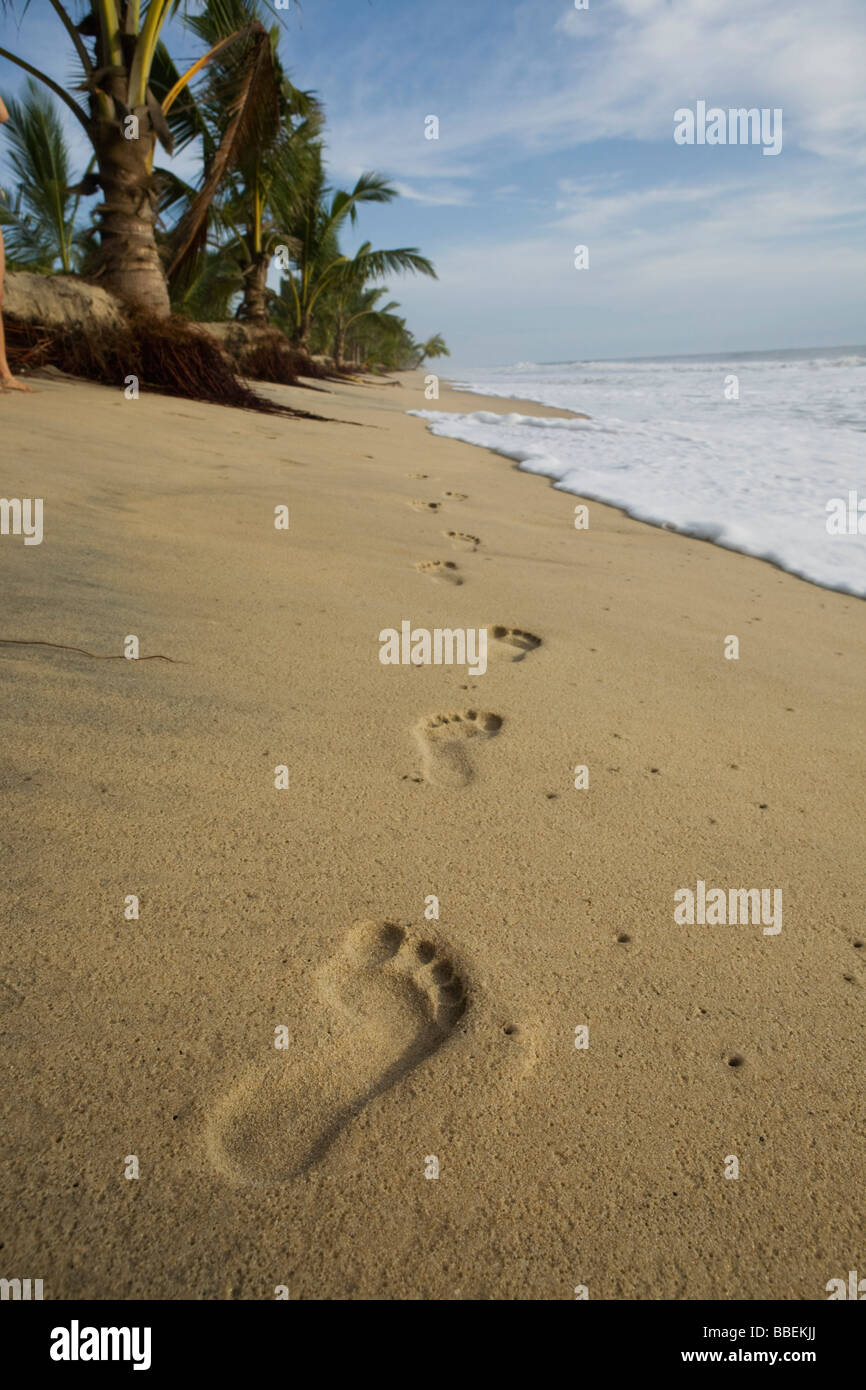 India Images For Prints High Resolution Stock Photography and Images ...