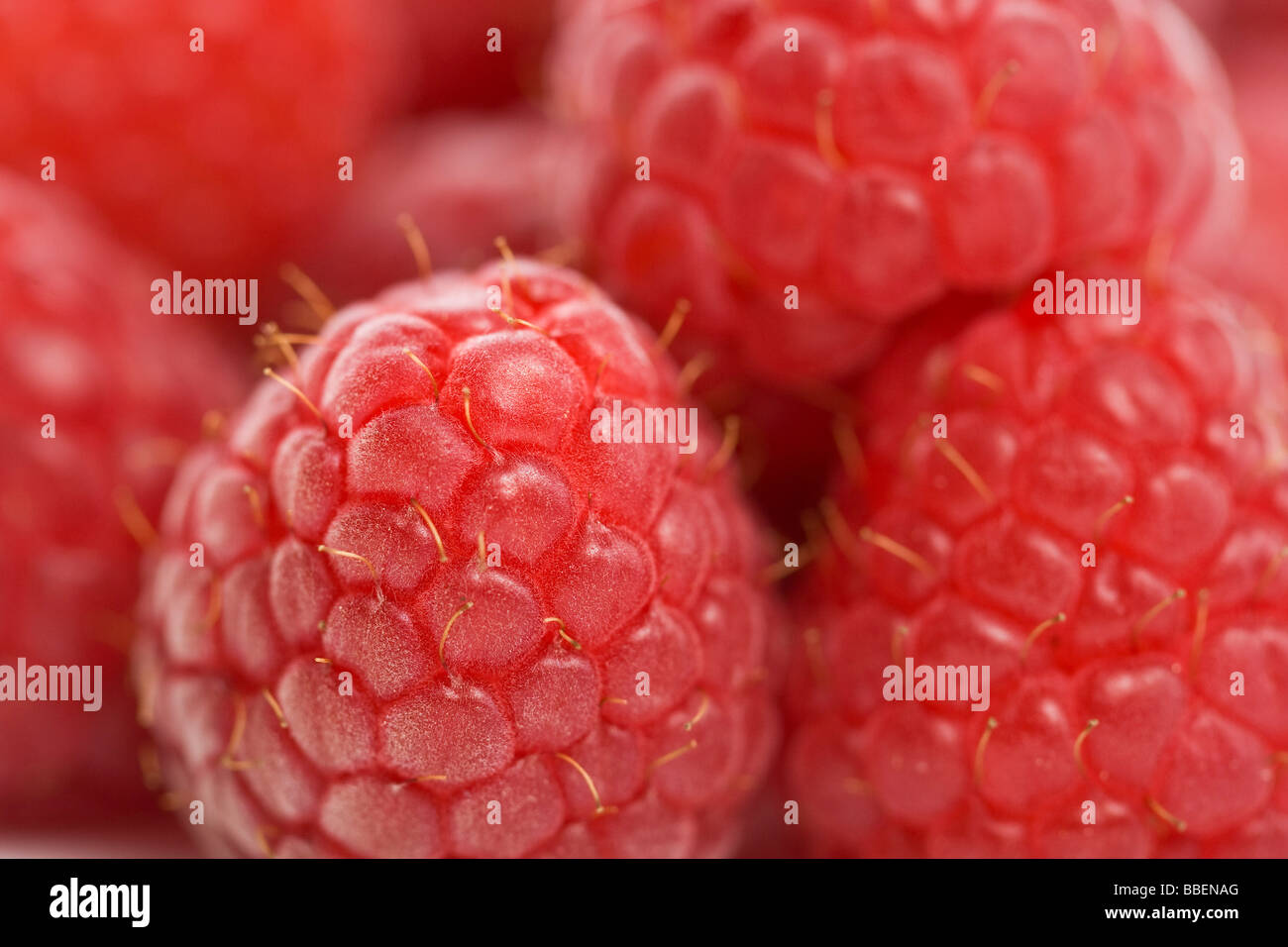 Focused stacked images hi-res stock photography and images - Alamy