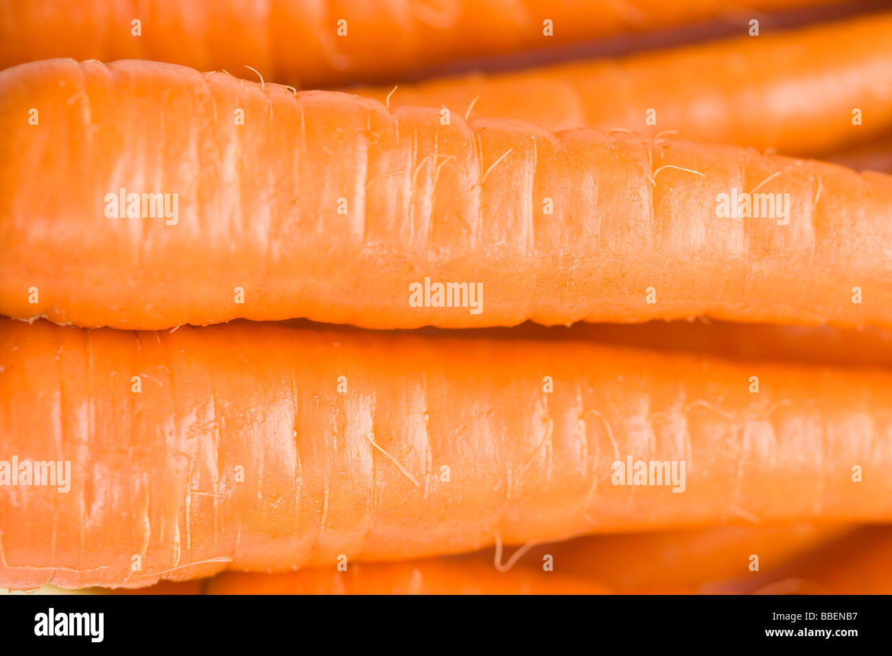 Closeup of Carrots Stock Photo - Alamy