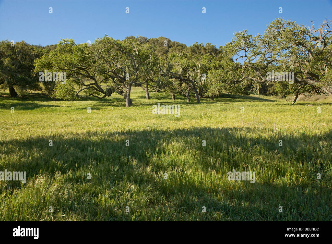 Outdoor exterior day daytime daylight nature scene scenery landscape hi ...