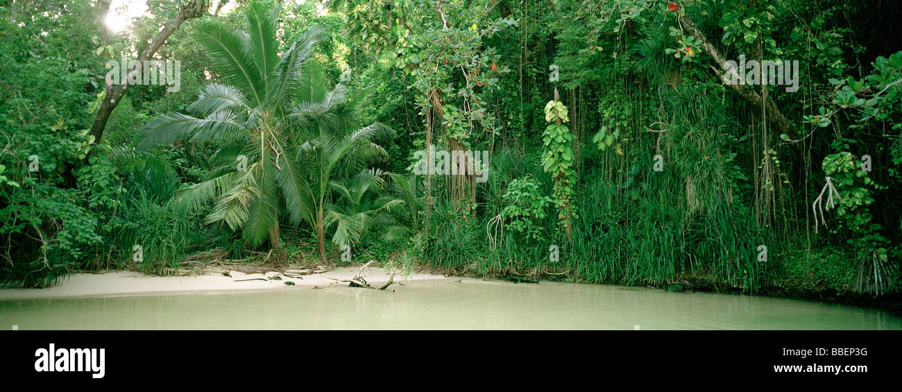 Small beach on the shores of a freshwater stream in a rain forest, Port ...