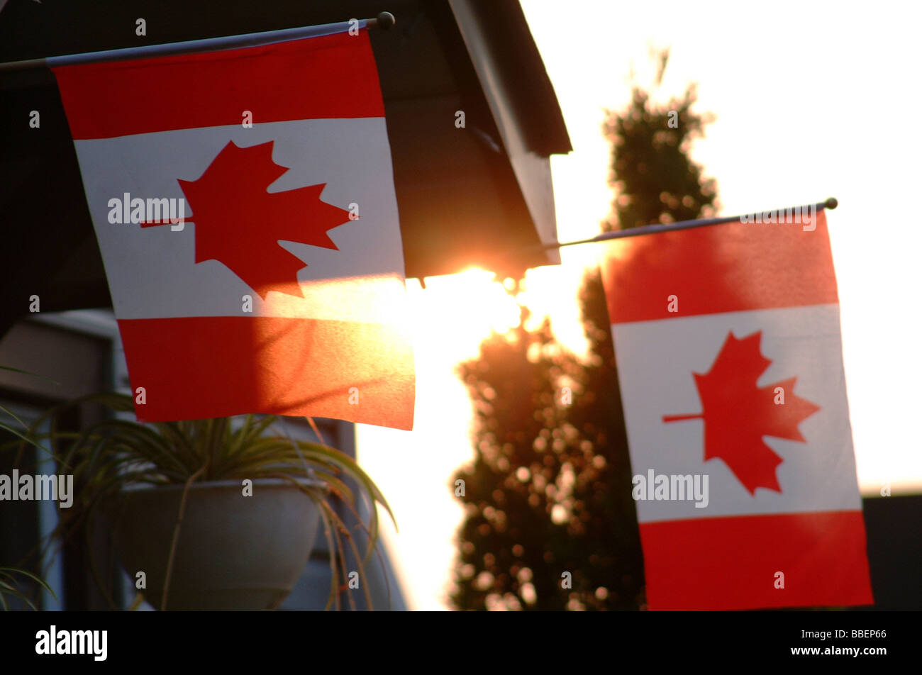 Small canadian flags on hi-res stock photography and images - Alamy