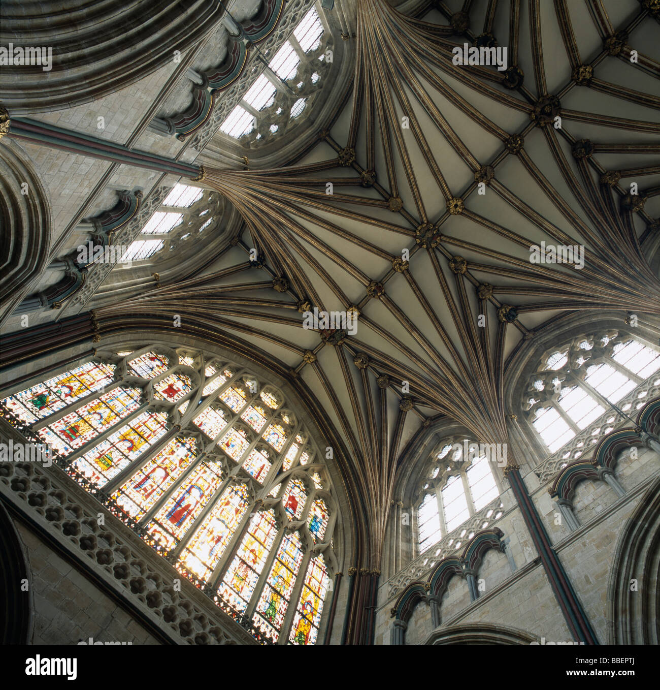 Exeter Cathedral Vaulting In Quire (Choir Stock Photo - Alamy