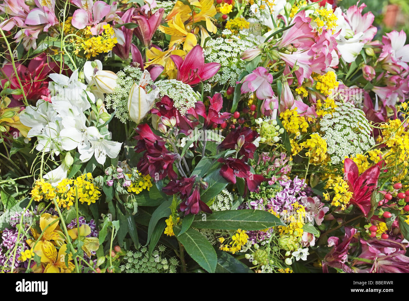 Multicolor flower background Stock Photo - Alamy