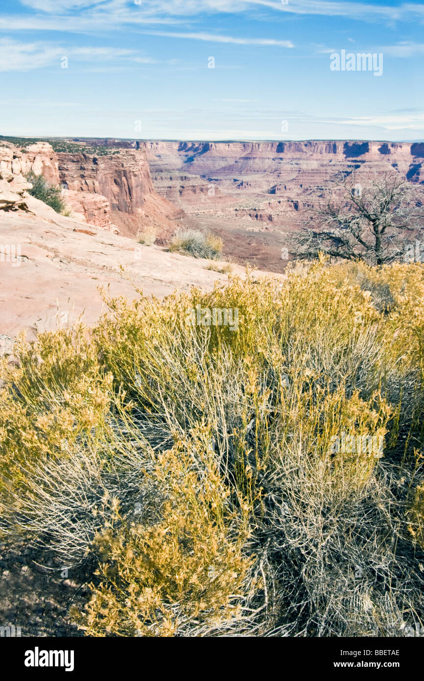 Colors of Canyonlands National Park Stock Photo - Alamy