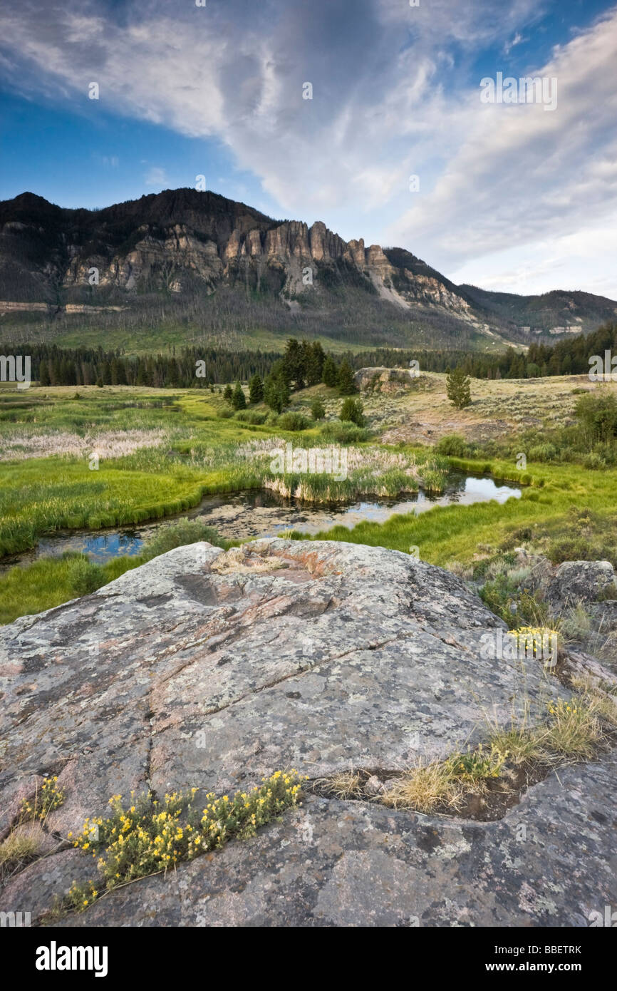 Landscape of Wyoming Yellowstone Area Stock Photo - Alamy