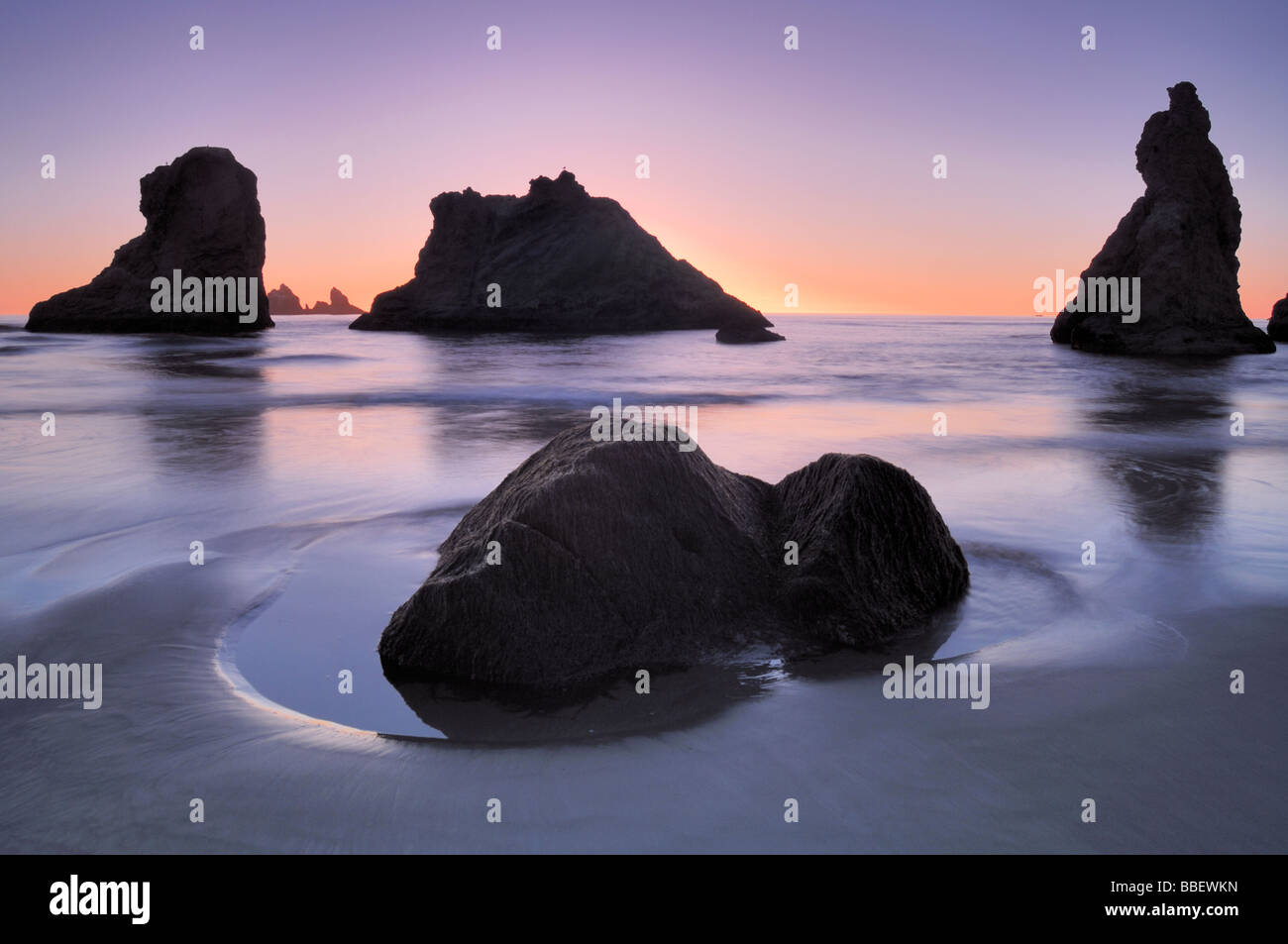 Beach dusk state park oregon hi-res stock photography and images - Alamy