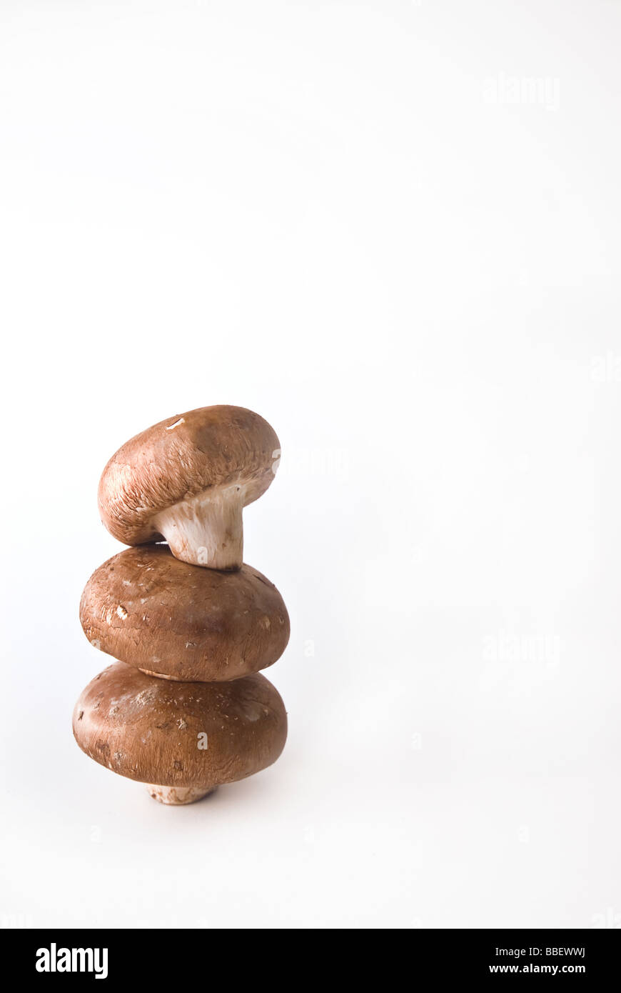 Stacked mushrooms on a white background Stock Photo - Alamy