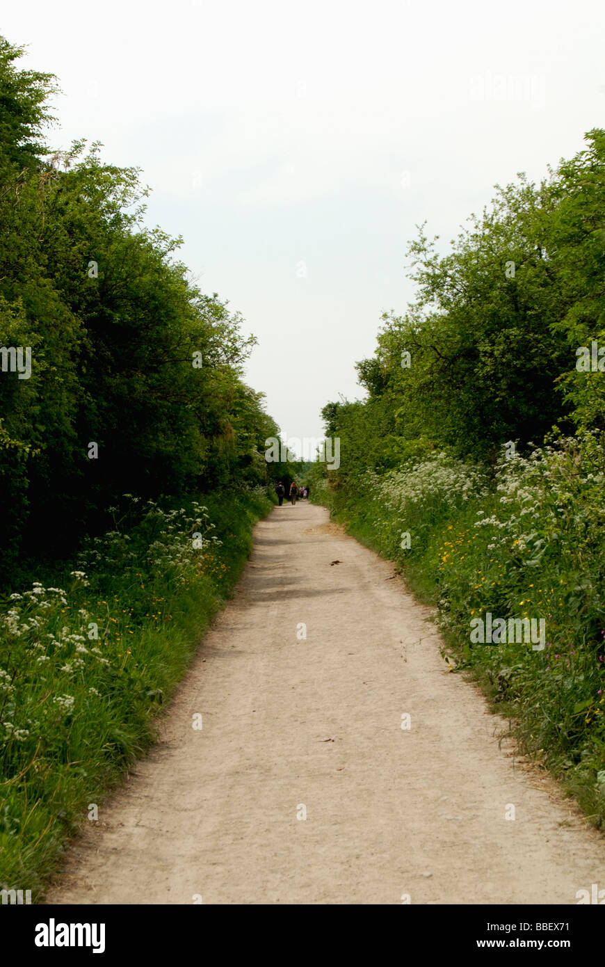 The Ridgeway path close by to Waylands Smithy in Oxfordshire Stock ...